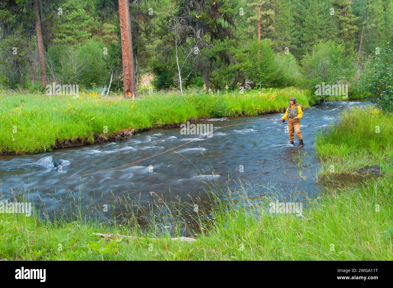 Fly fishing, North Fork Malheur Wild and Scenic River, Malheur National ...