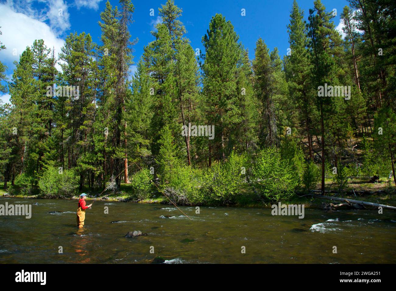 Flyfishing, Malheur Wild and Scenic River, Malheur National Forest ...