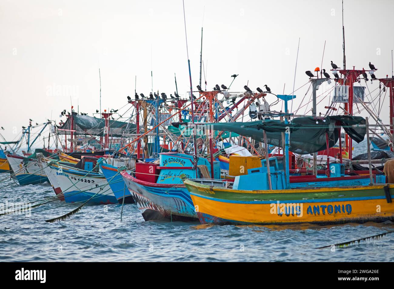 Colourful fishing boats in the bay of Paracas, Reserva Nacional de ...