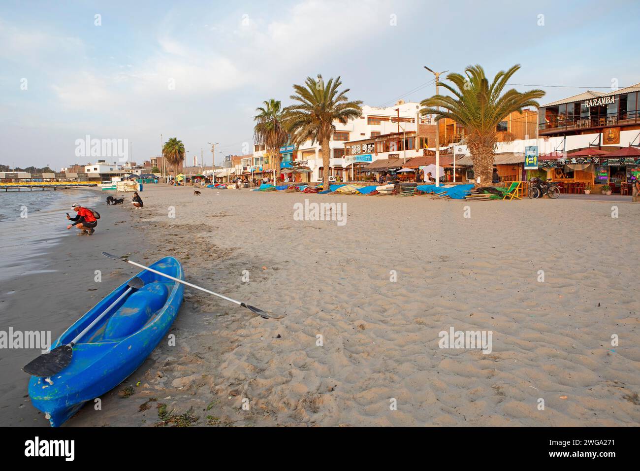 Paracas, Reserva Nacional de Paracas, Ica region, Pisco province, Peru ...