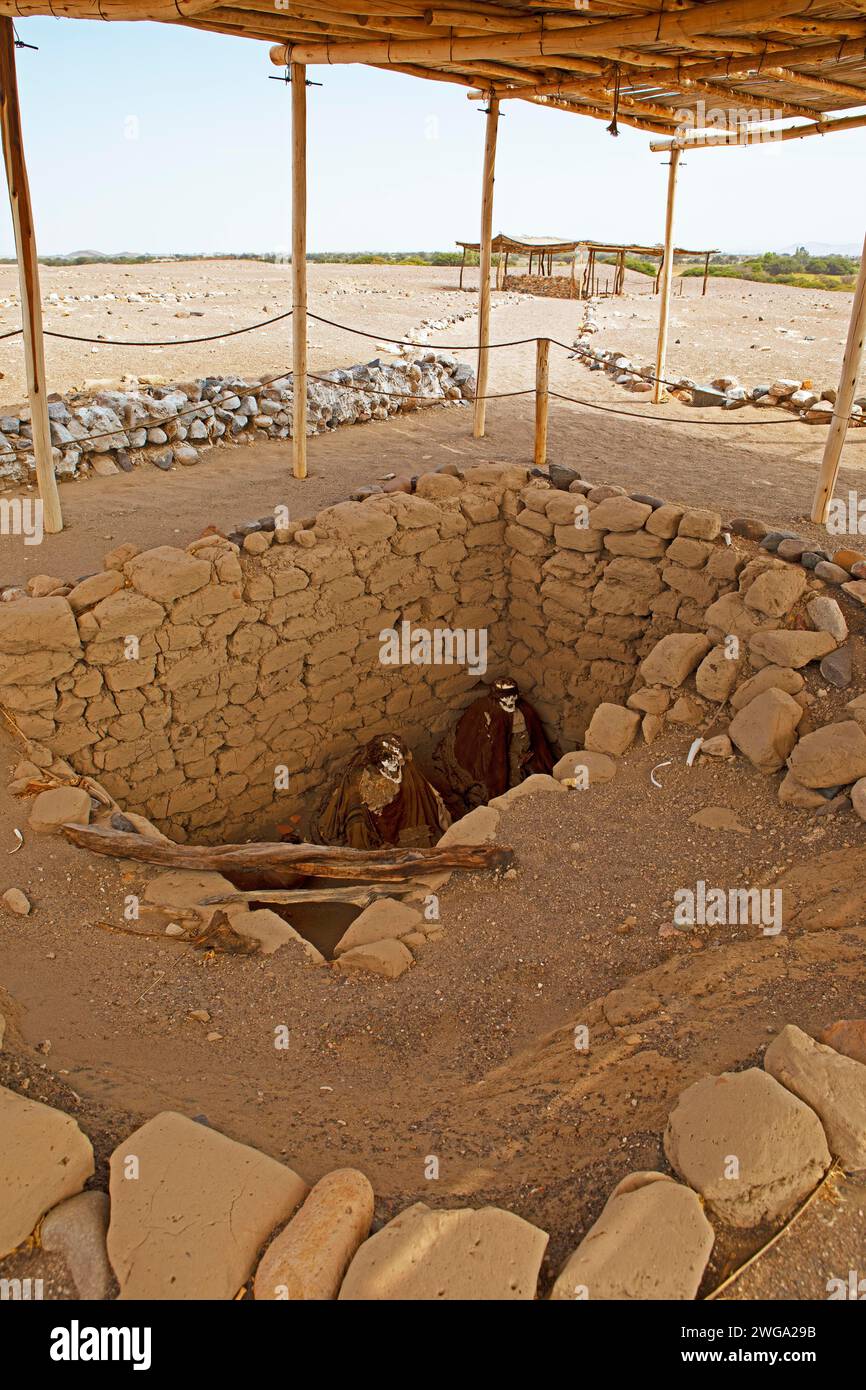 Skeletons in an open grave, Chauchilla burial ground or desert cemetery ...