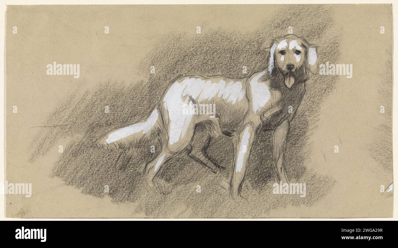 Standing dog, Jan van Essen, 1864 - 1936 drawing paper. deck paint ...