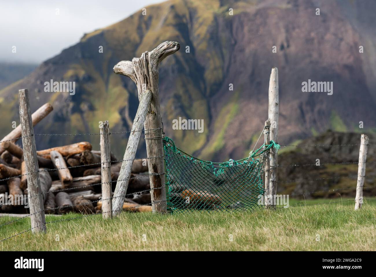 Driftwood fence, Reykjarfjoerour, Strandir, Arnes, Westfjords, Iceland ...
