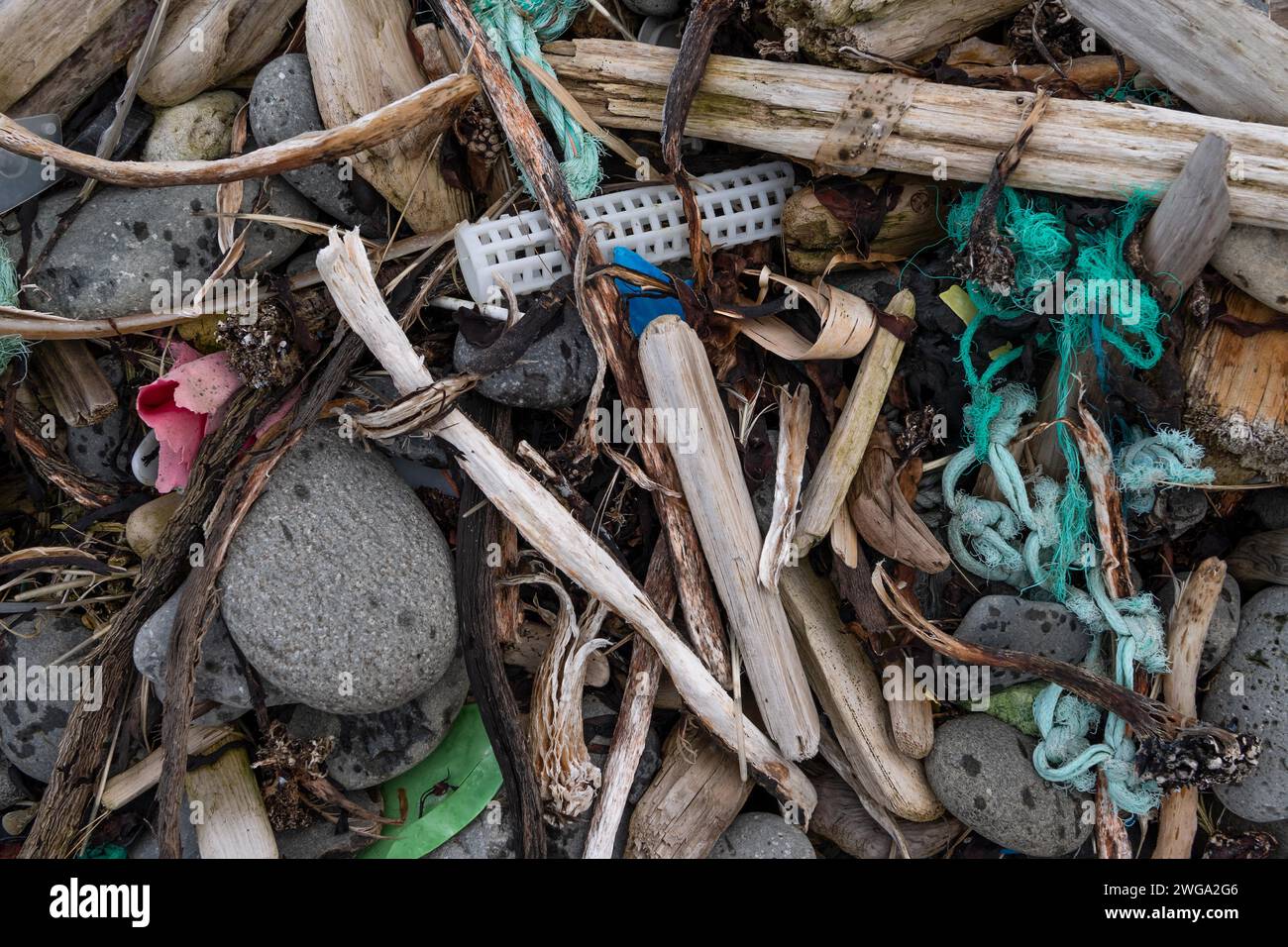 Driftwood and plastic waste, Drangsnes, Strandir, Arnes, Westfjords ...