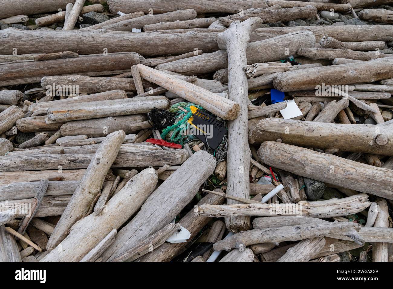 Driftwood and plastic waste, Drangsnes, Strandir, Arnes, Westfjords ...