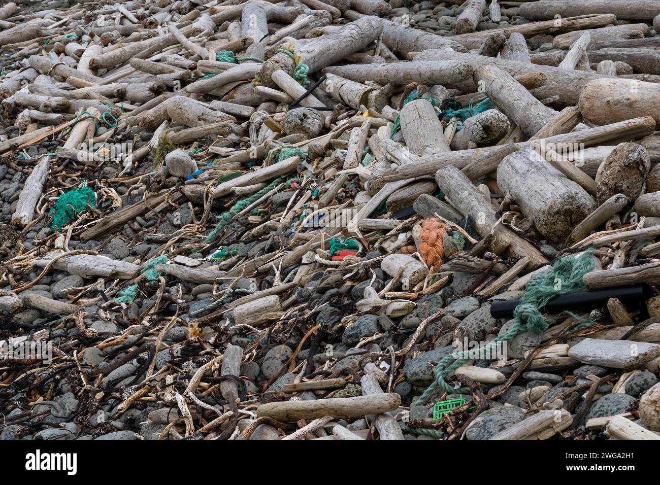 Driftwood and plastic waste, Drangsnes, Strandir, Arnes, Westfjords ...