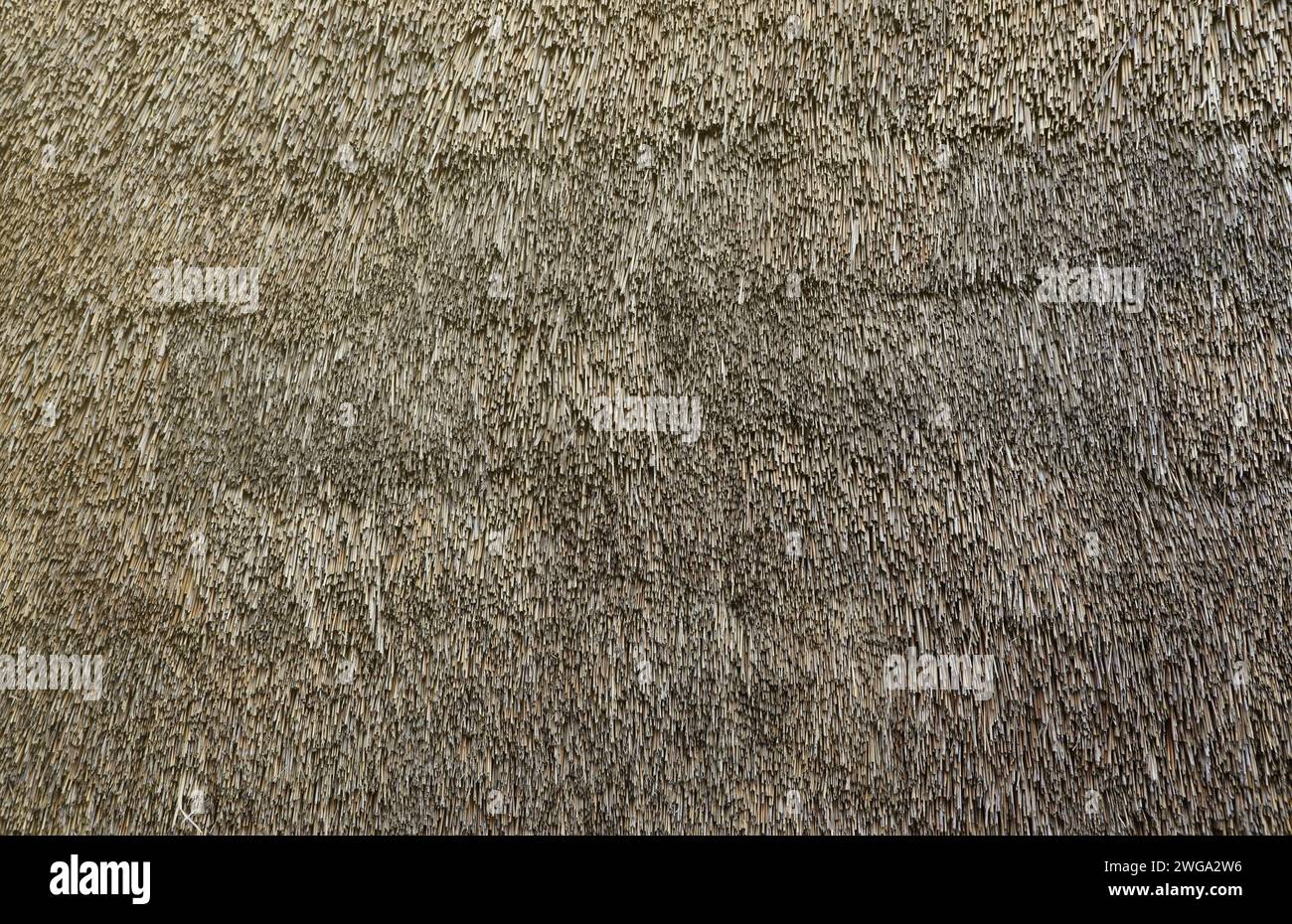 Texture of hay bale background or dry grass background. Textured hay ...