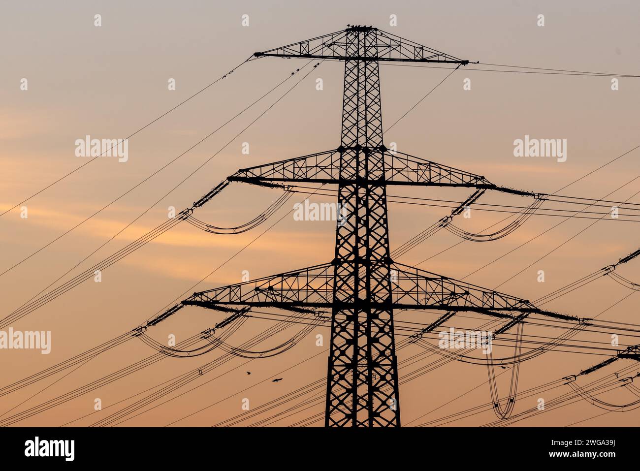 A single high-voltage pylon stands in front of a sunrise sky ...