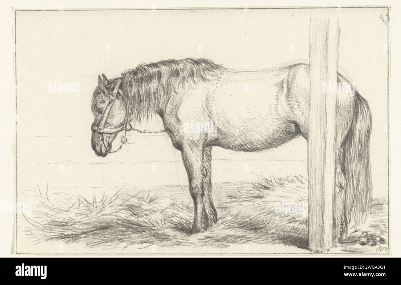 Standing horse in the stable, to the left, Jean Bernard, 1817 drawing ...