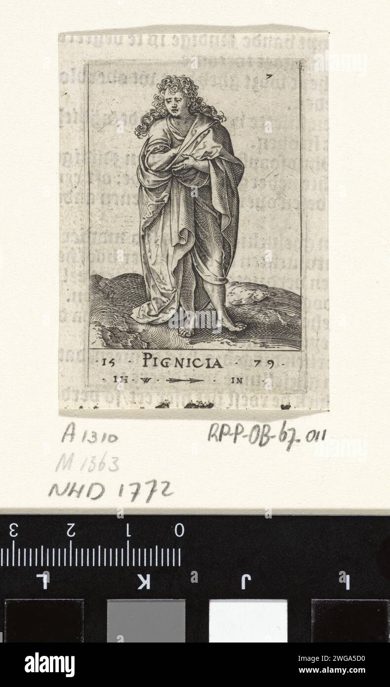 Pigritia sloth hi-res stock photography and images - Alamy