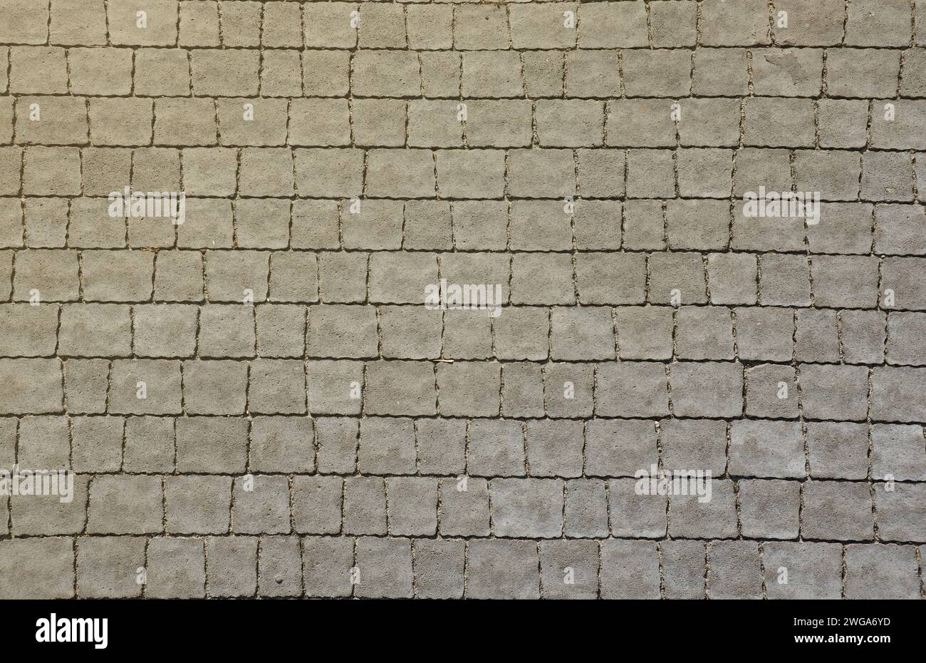 Gray color paving slabs in the pedestrian street sidewalk. Rough cobblestone pattern with many ...