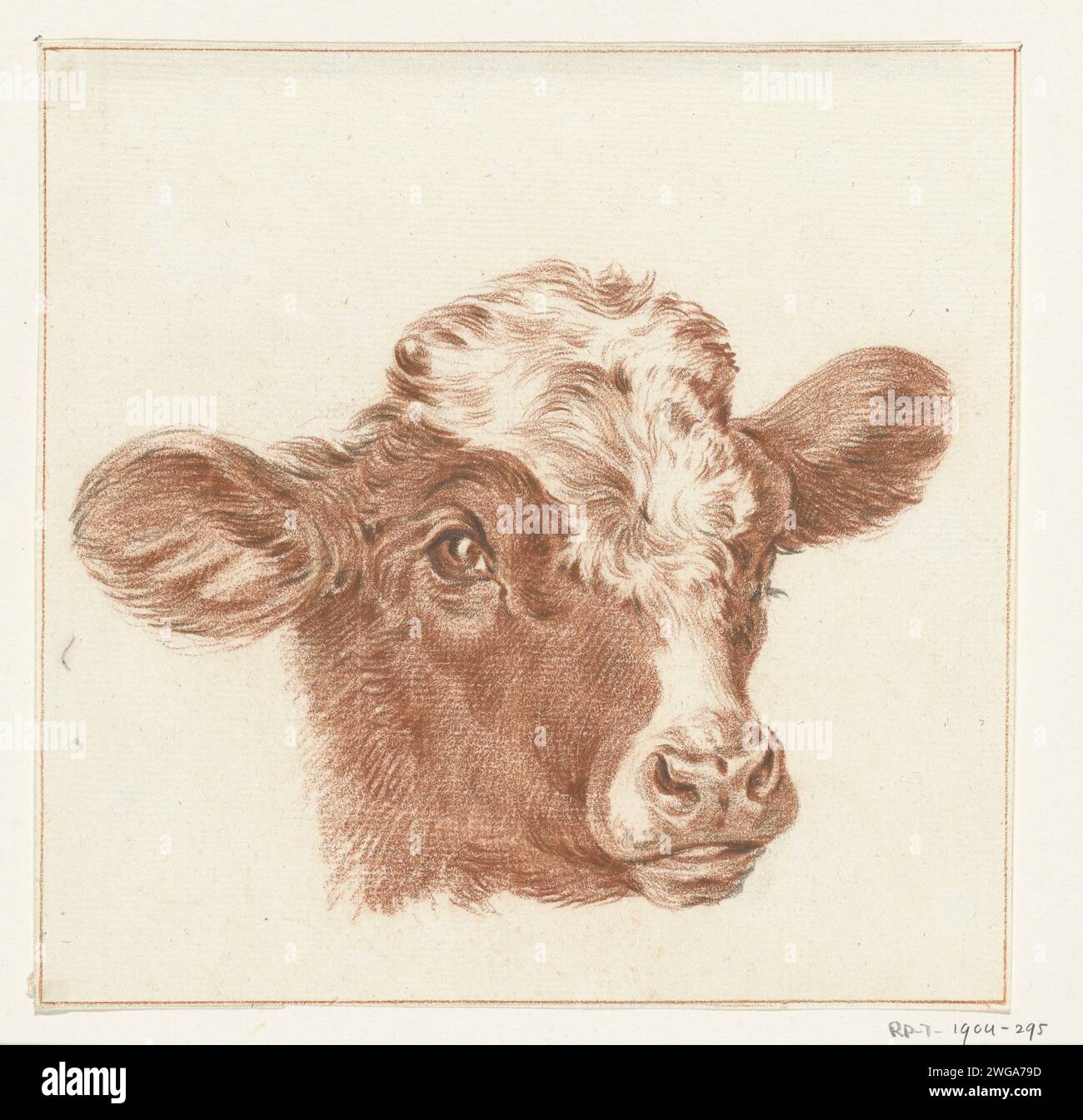 Kop van A cow, Jean Bernard, 1775 - 1833 drawing paper. chalk cow Stock ...