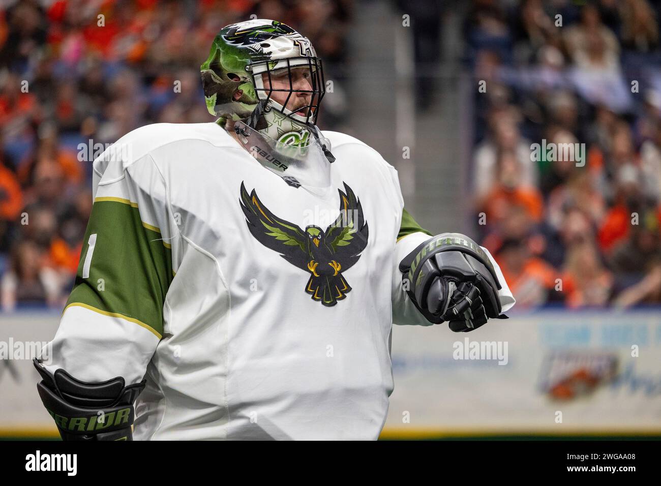 February 3rd, 2024: Rochester Knighthawks goaltender Riley Hutchcraft ...