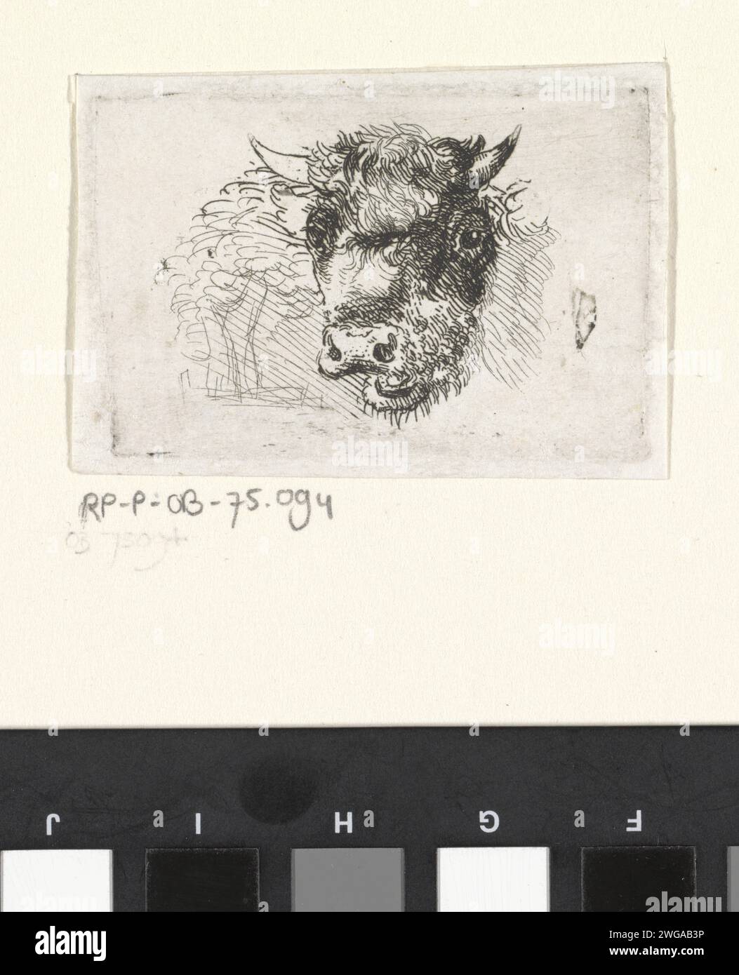 Cow head and sheep's head, Anonymous, 1700 - 1850 print Cow head over a ...