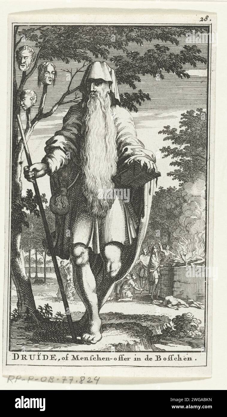 Druids, 1712 - 1714 print Druid and human sacrifices. Illustration no ...