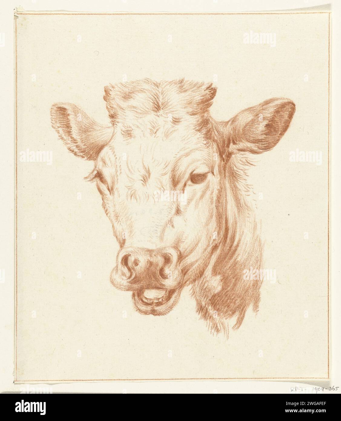 Kop van a cow, from the front, Jean Bernard, 1775 - 1833 drawing paper ...