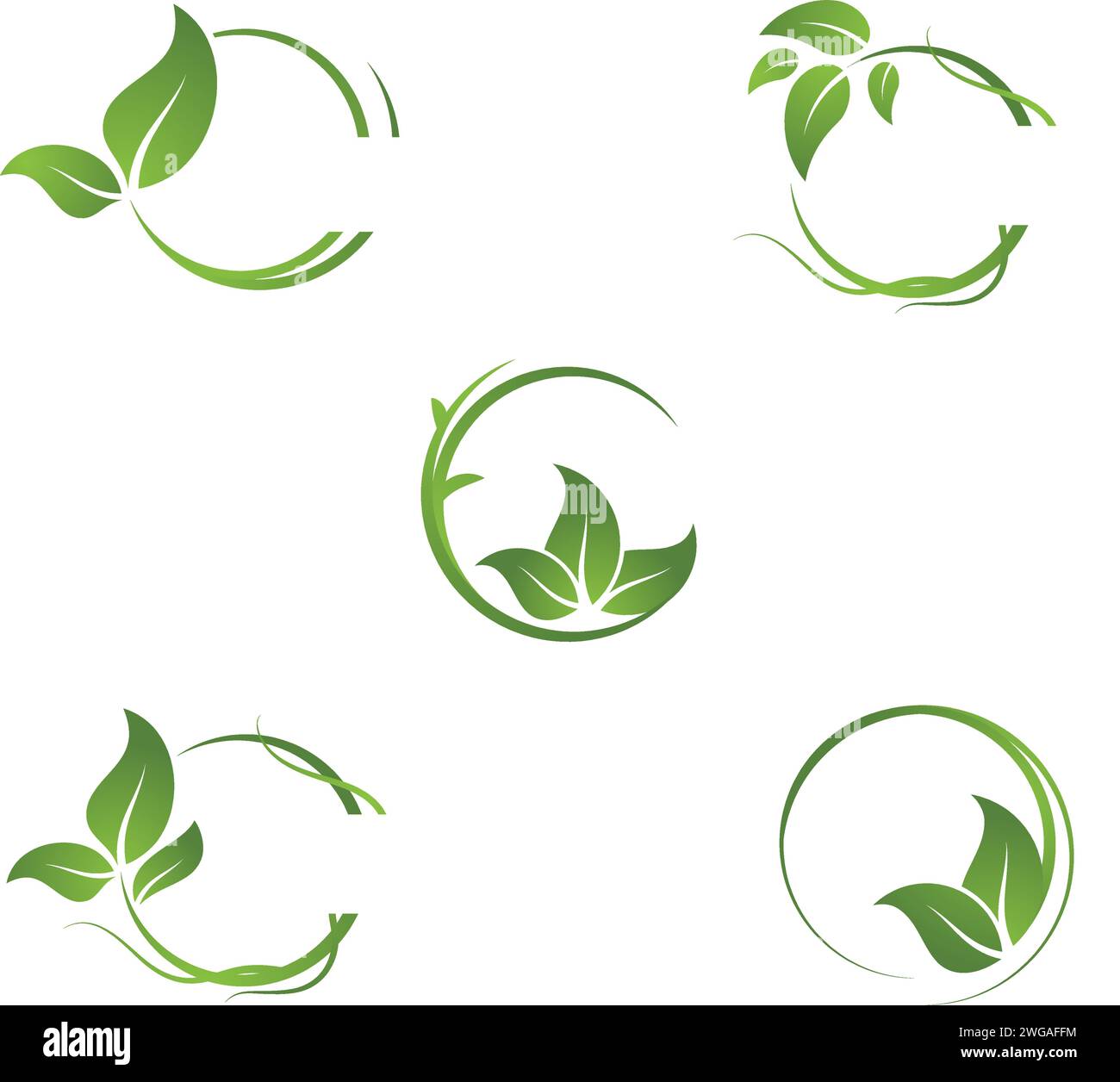 Bio leaf Icon Illustration design template Stock Vector Image & Art - Alamy