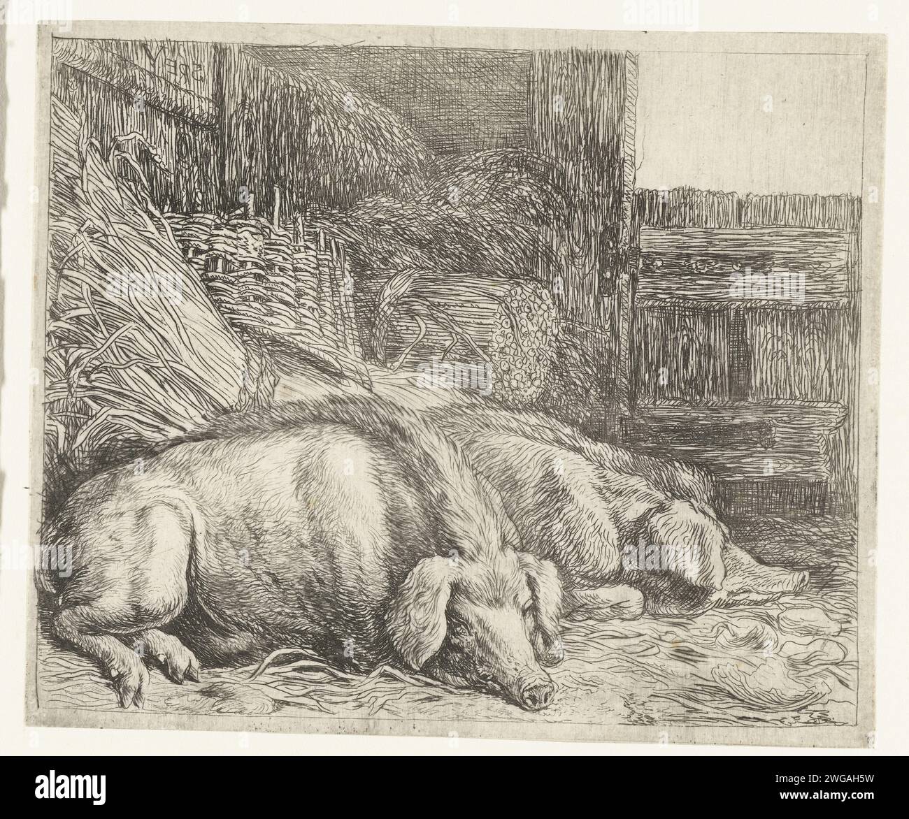 Two pigs, Simon de Vlieger, 1610 - 1653 print From a series of ten ...