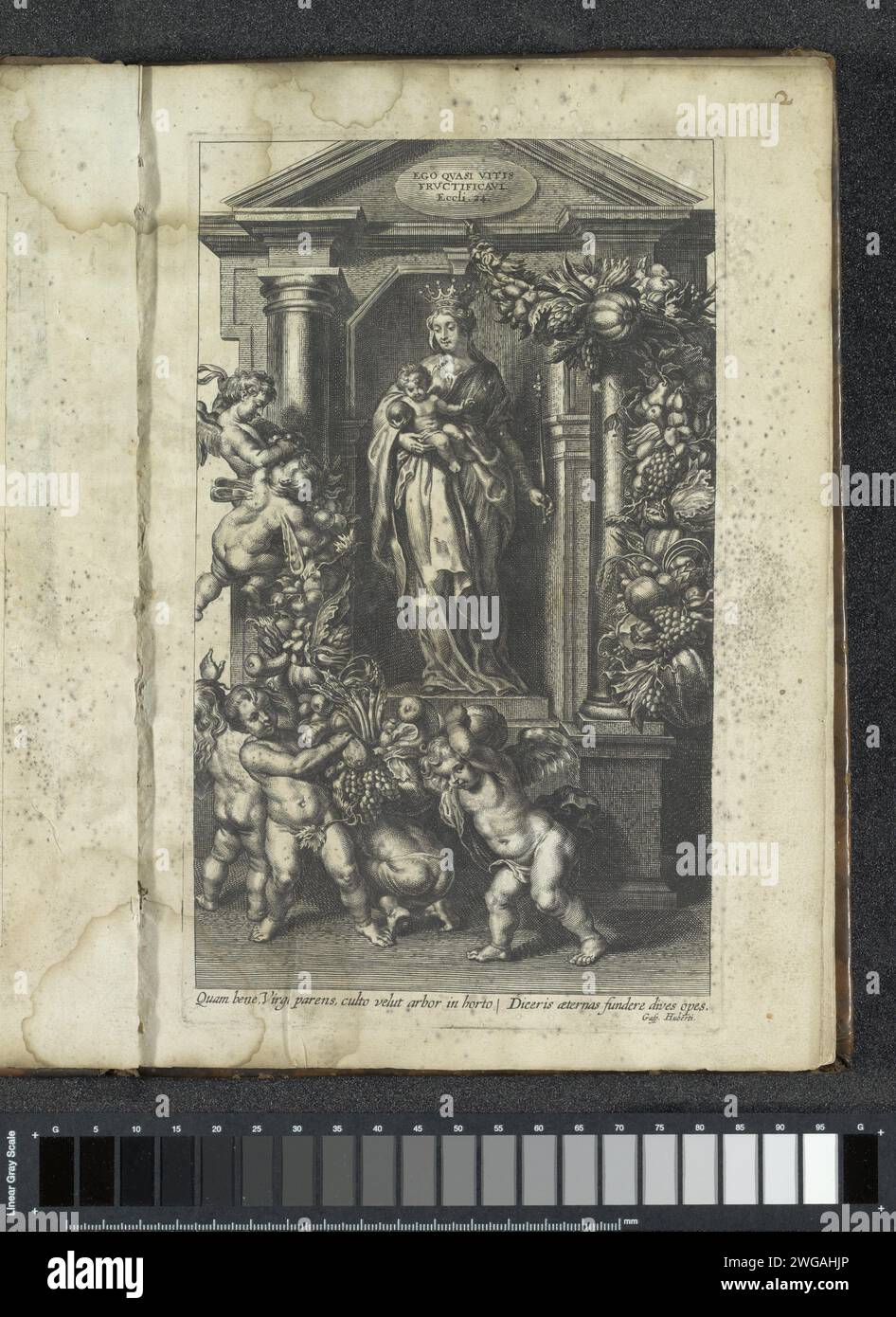 The queen in bubbles hi-res stock photography and images - Alamy