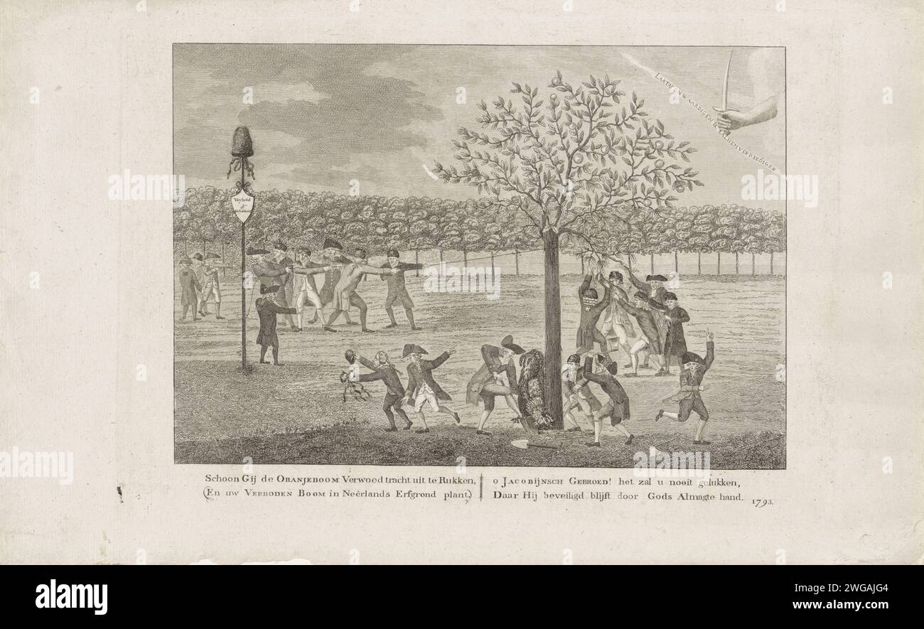 Etching tree roots hi-res stock photography and images - Alamy