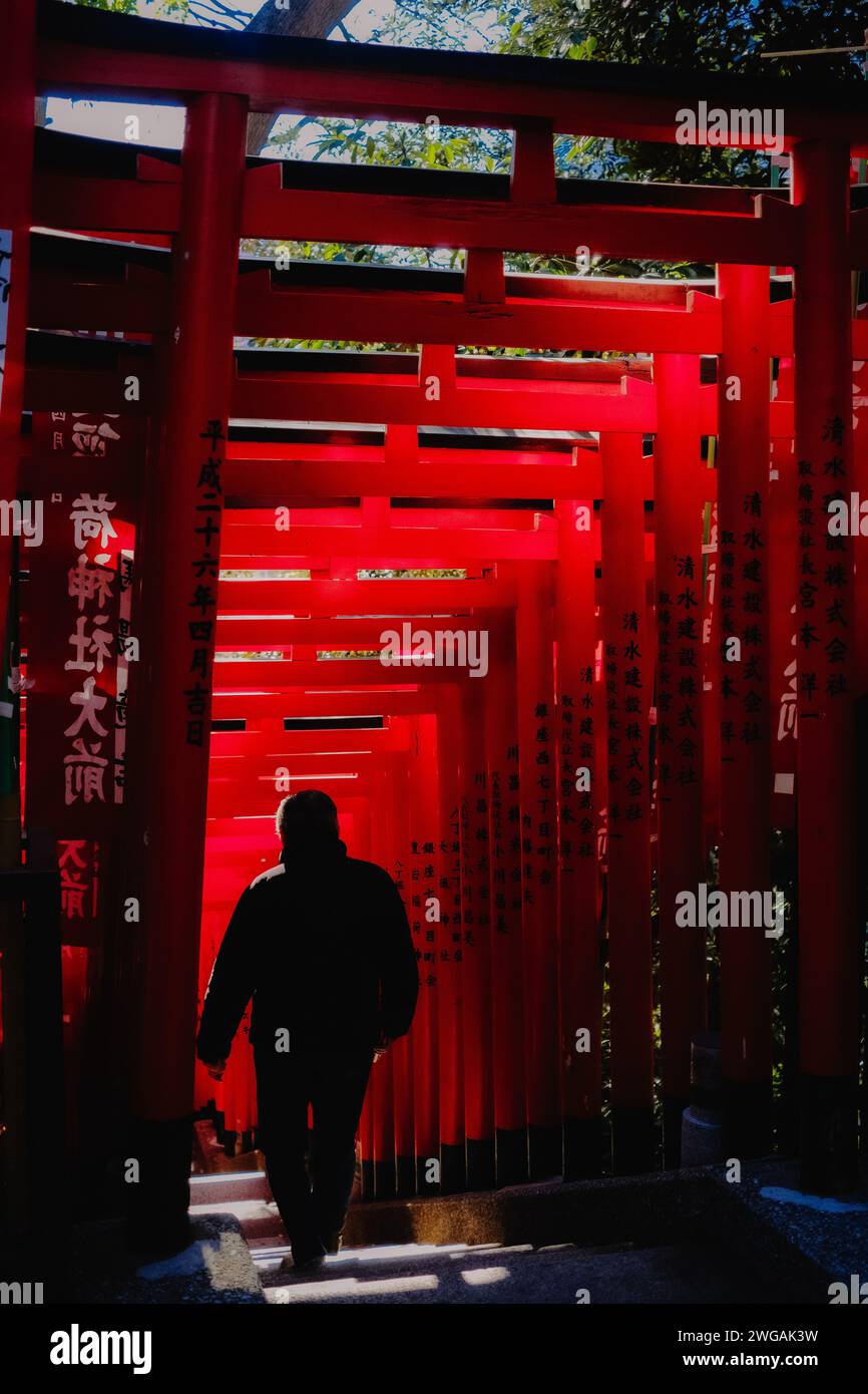 Thousand toriis japan hi-res stock photography and images - Alamy