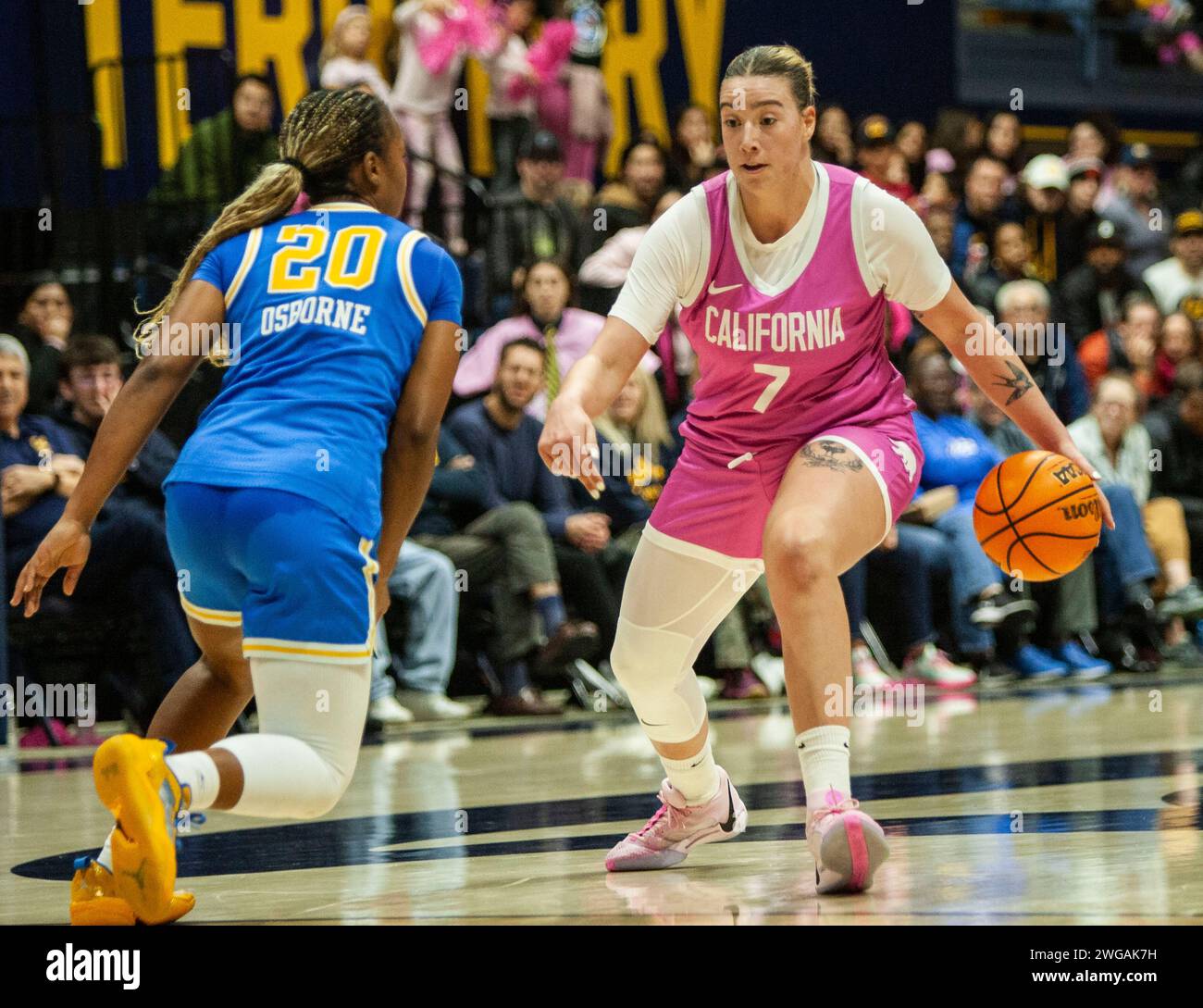 2024 0606 jpg hi-res stock photography and images - Alamy