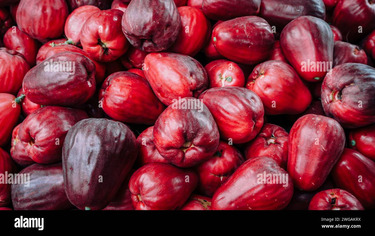Fresh red Jamaican guava fruit that has just been harvested Stock Photo ...