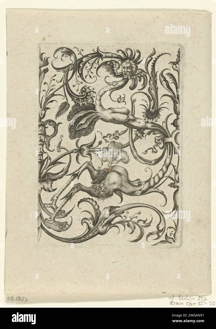 Panel with leaf vines and grotesque dragon, 1684 print The top and ...