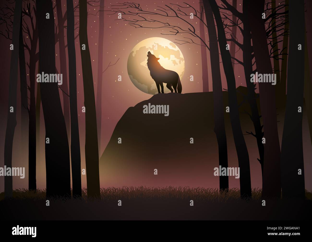 Wolf howling during full moon, vector illustration Stock Vector Image & Art - Alamy