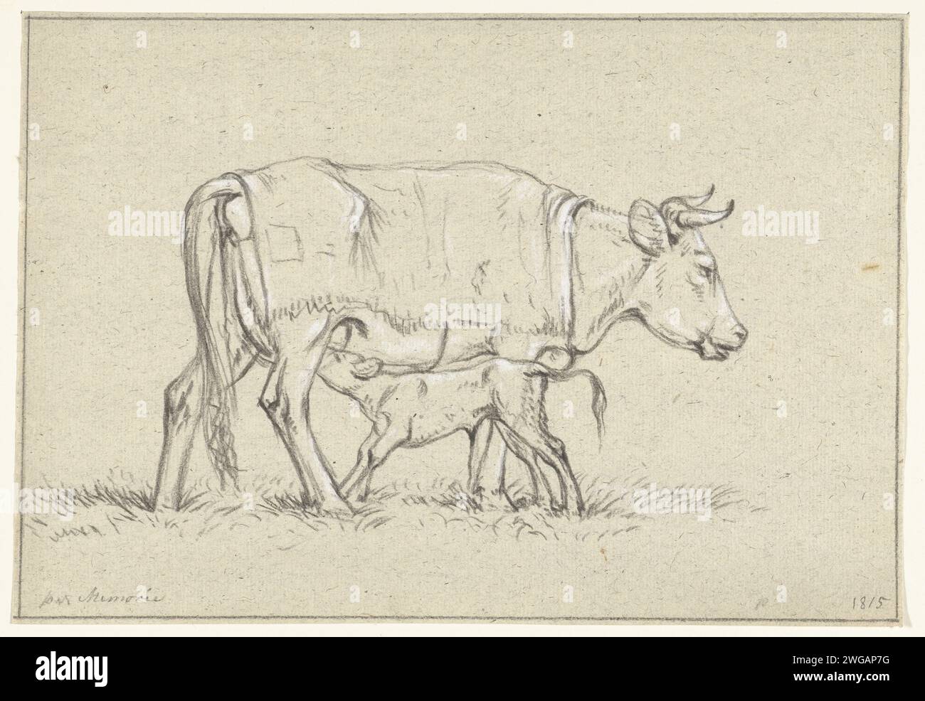 Drinking calf with his mother, Jean Bernard, 1815 drawing paper. chalk ...