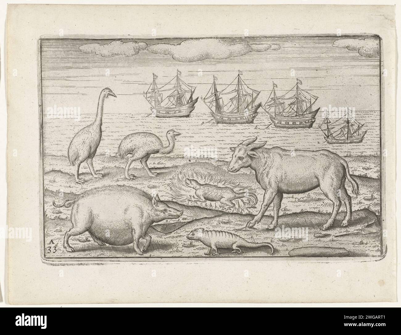 Animals from Java, 1596, 1646 print Animals from Java, 1596. Kasuaris ...