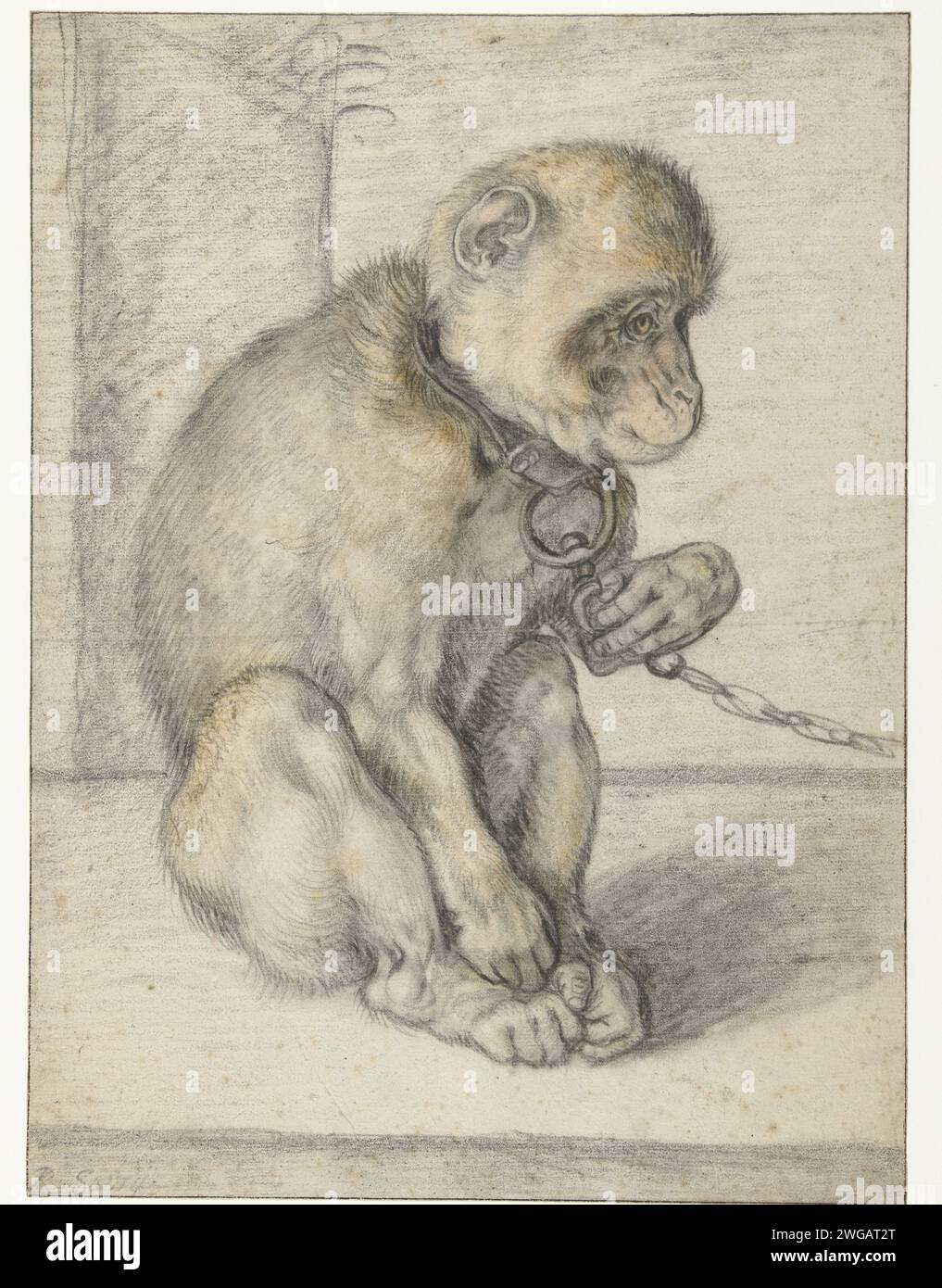 A Seated Monkey on a Chain, Hendrick Goltzius, 1592 - 1602 drawing A ...