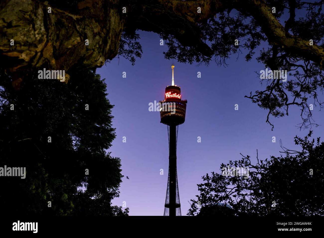 Westfield tower, Sydney, Australia Stock Photo - Alamy