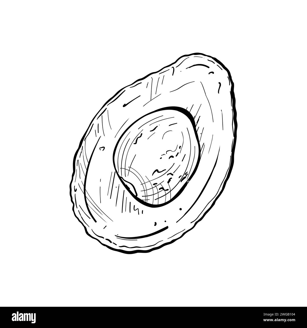 Avocado half vector illustration. Avocado fruit ripe part cut and seed ...
