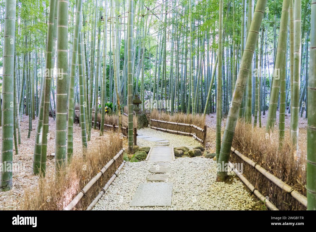 Hokoku ji kamakura hi-res stock photography and images - Alamy