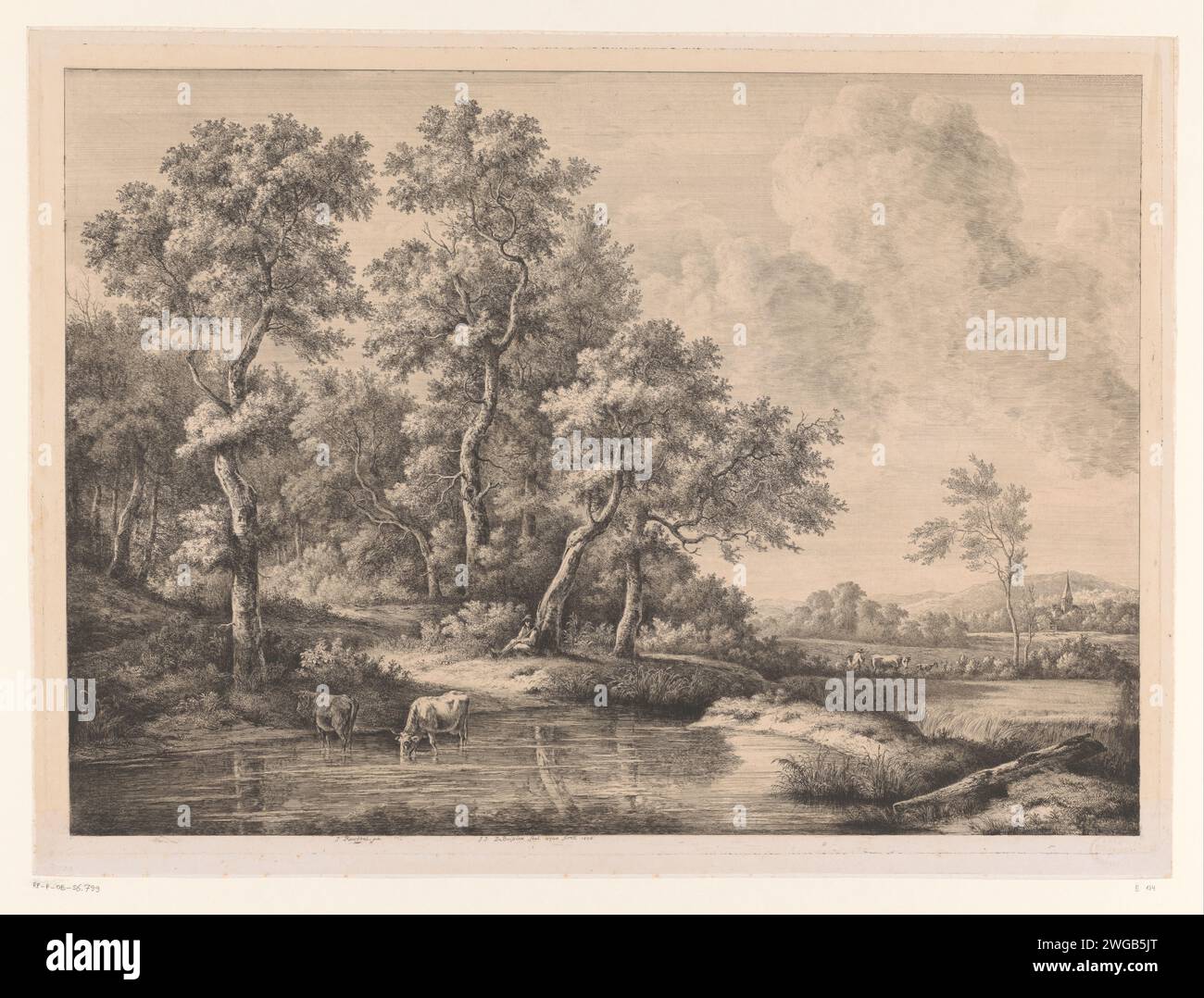 Detailed illustration of two cows hi-res stock photography and images ...