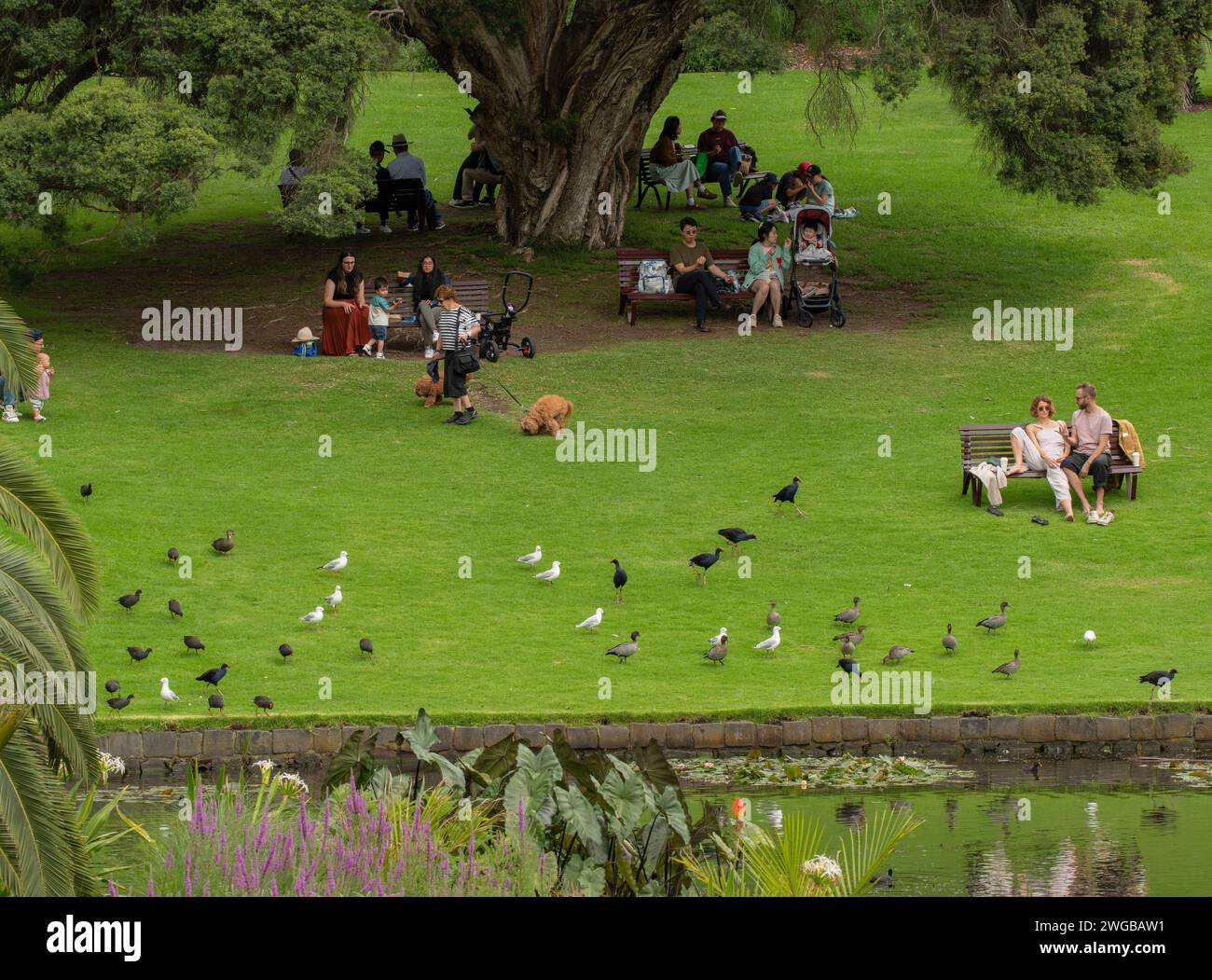 Melbourne Botanical Garden - masses of visitors and masses of wetland ...