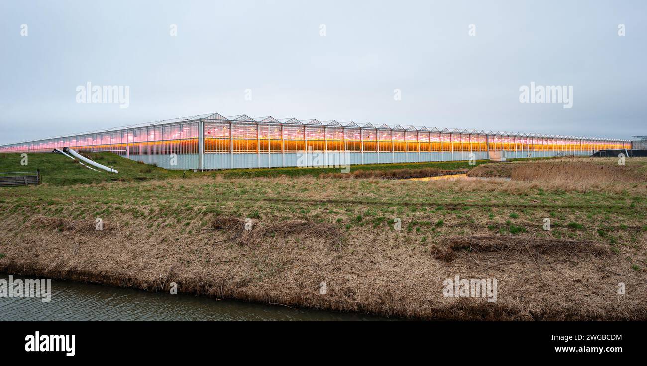 Wide view of greenhouses which are illuminated by LED lights in ...