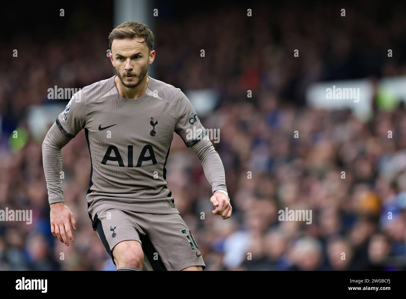 James maddison tottenham hotspur hi-res stock photography and images ...