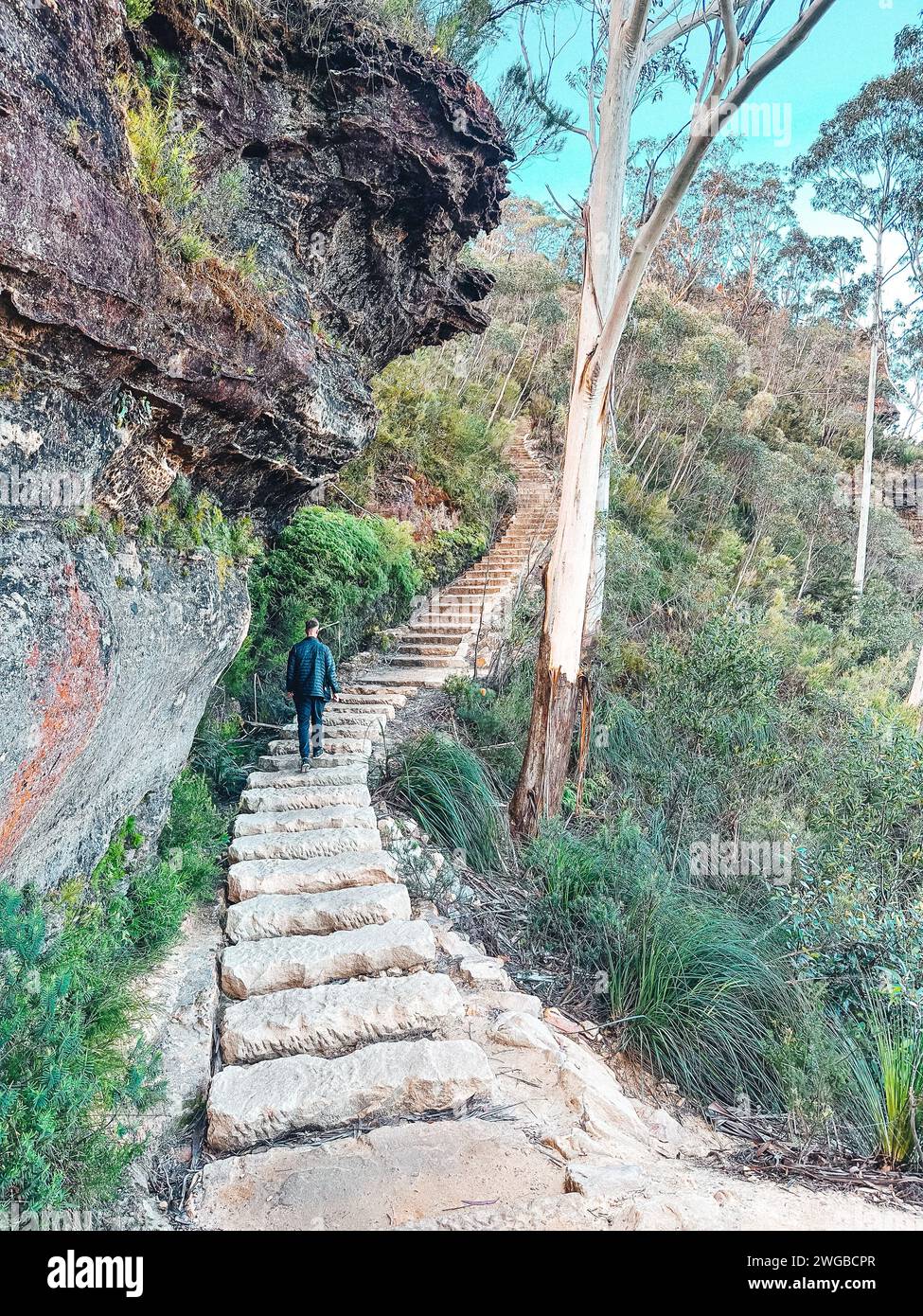 Steps at the Blue Mountains Sydney Australia Nature views of the hills ...