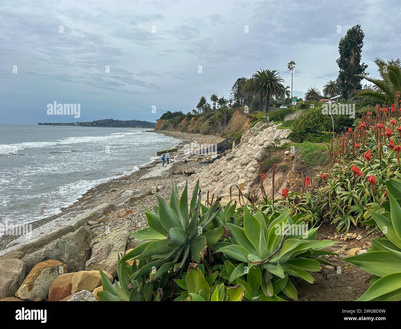 Montecito, California, U.S.A. 3rd Feb, 2024. Butterfly Beach, in ...