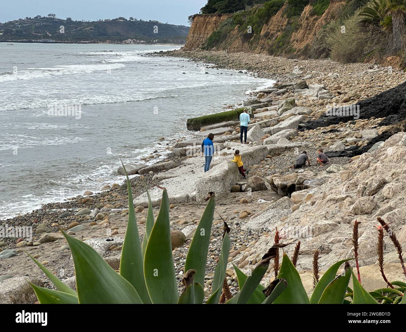 Montecito, California, U.S.A. 3rd Feb, 2024. Butterfly Beach, in ...