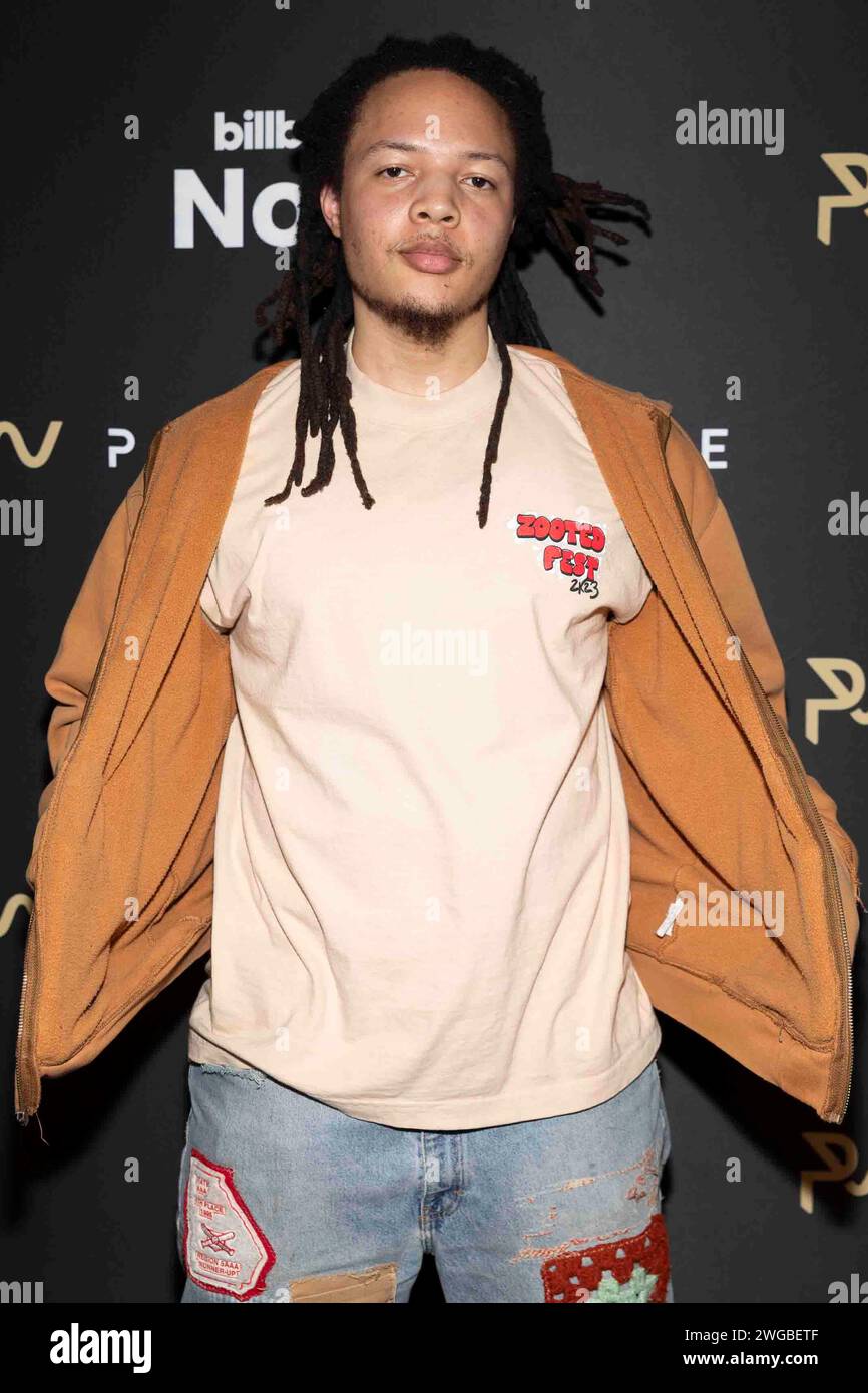 Domani Harris attends the arrivals of Primary Wave’s 17th Annual Pre ...