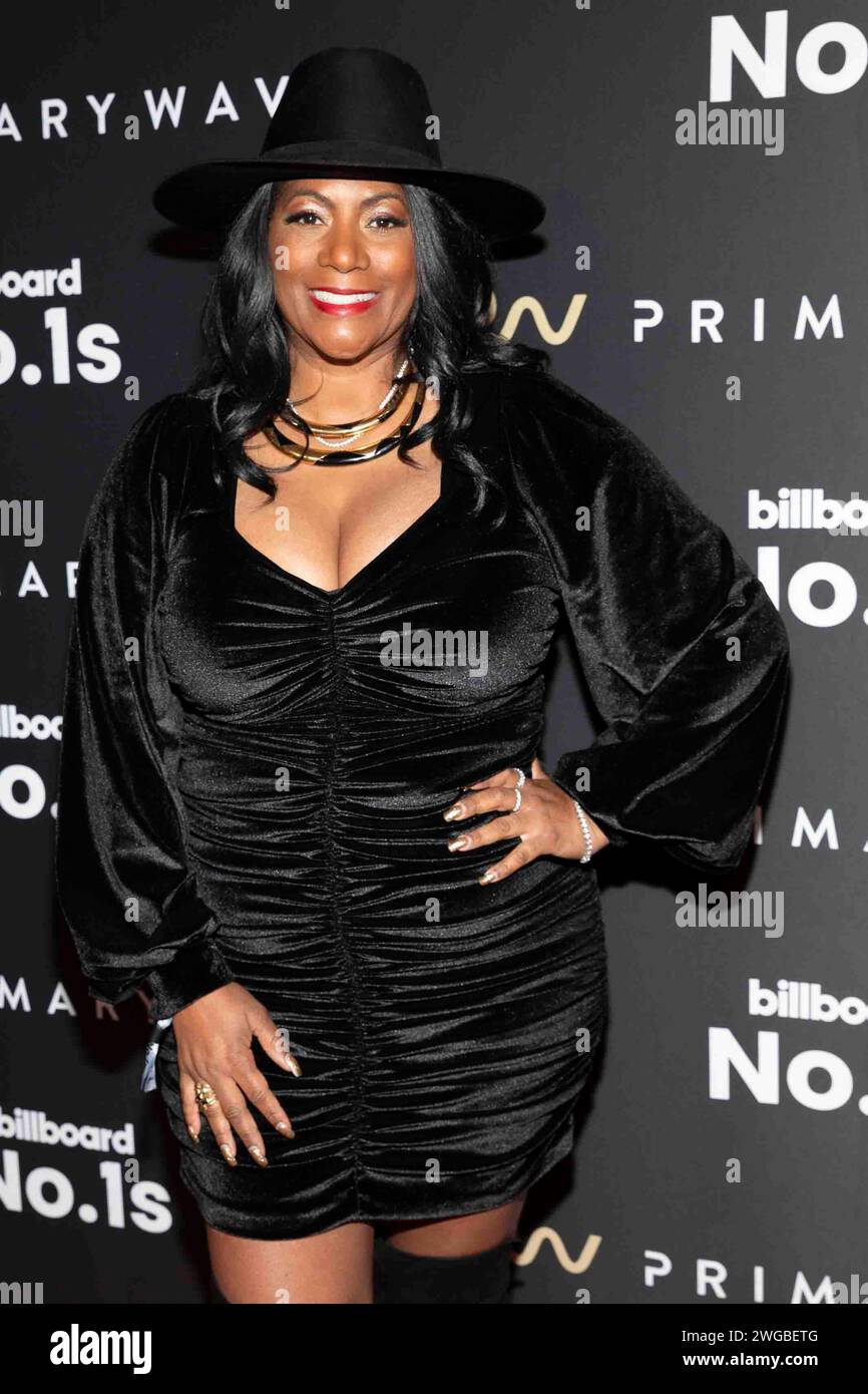 Shawn White attends the arrivals of Primary Wave’s 17th Annual Pre ...