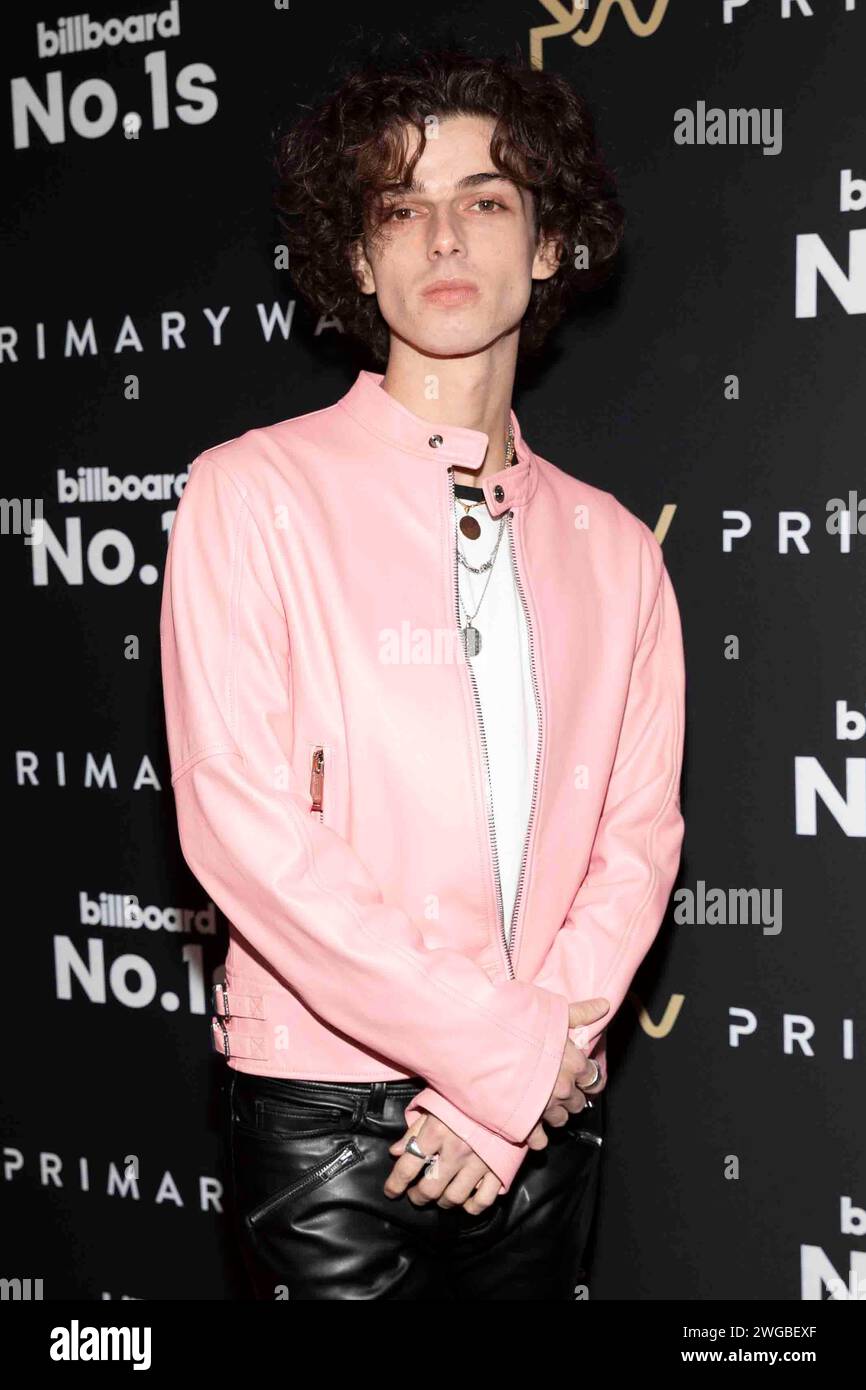 Mehro attends the arrivals of Primary Wave’s 17th Annual Pre-GRAMMY ...