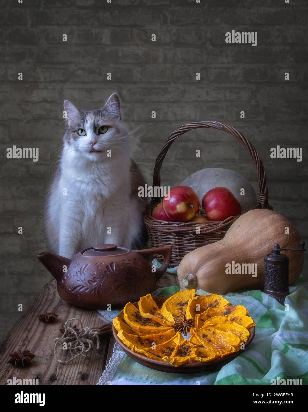 Still life with candied pumpkin and a curious cat Stock Photo - Alamy