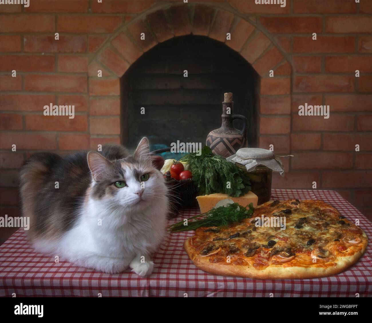 Hungry cat creeps up to the pizza table Stock Photo - Alamy