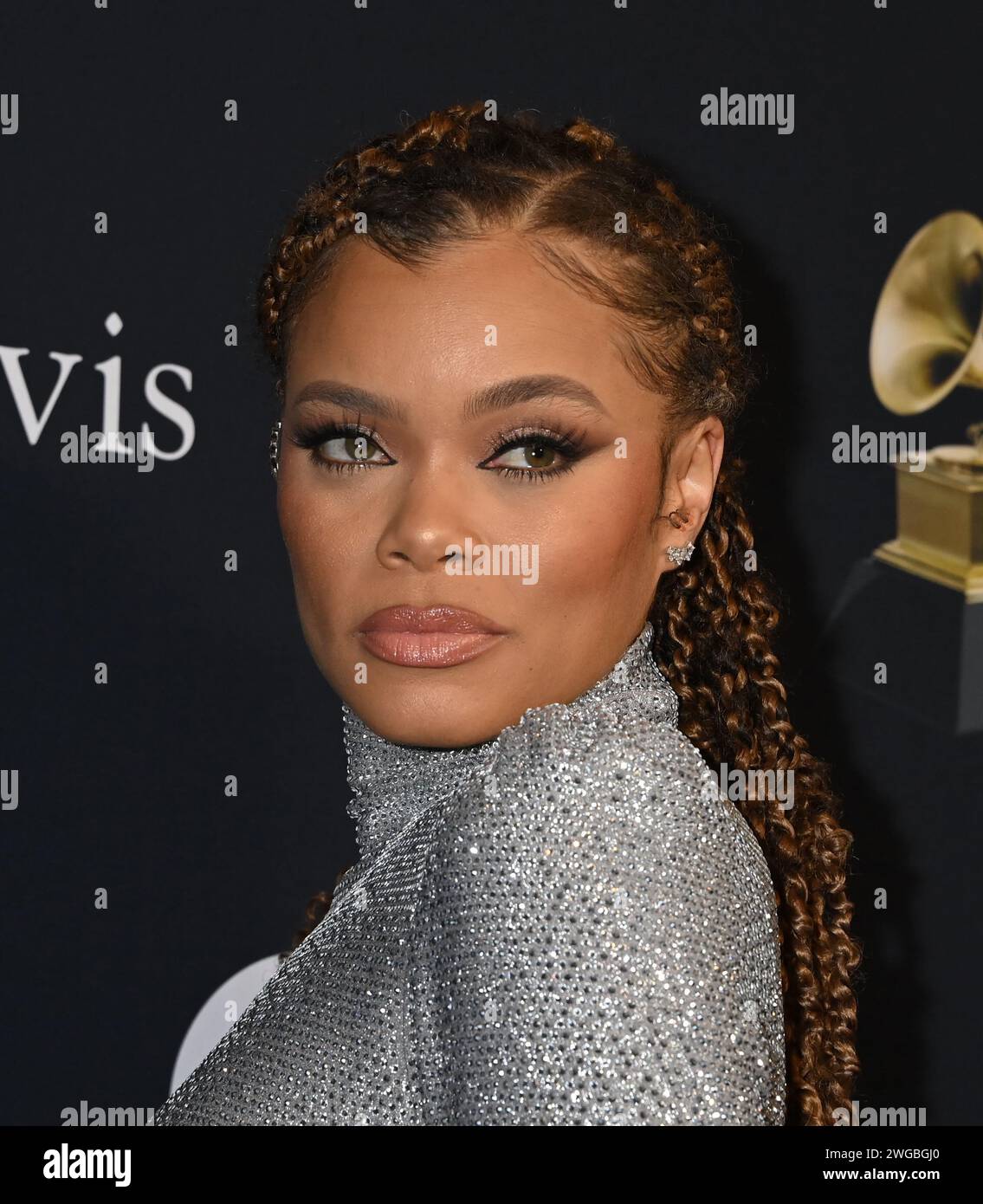 Beverly Hills, USA. 03rd Feb, 2024. Andra Day arriving at the Pre ...