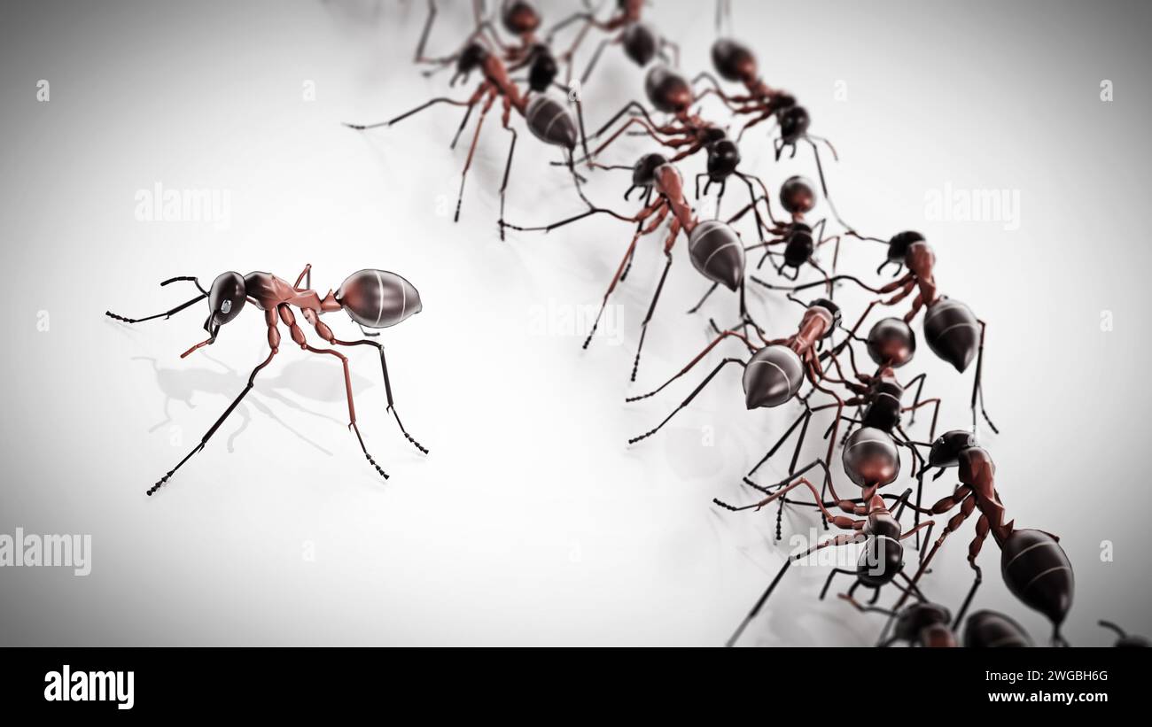 3D illustration of walking ants. Top view. 3D illustration Stock Photo ...