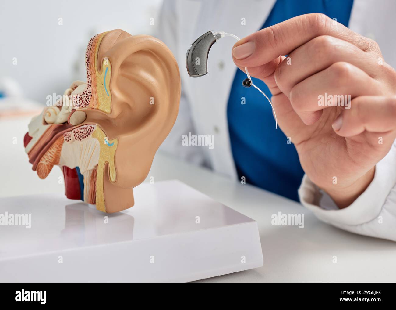 Close-up of BTE hearing aid in audiologist hand near anatomical model ...